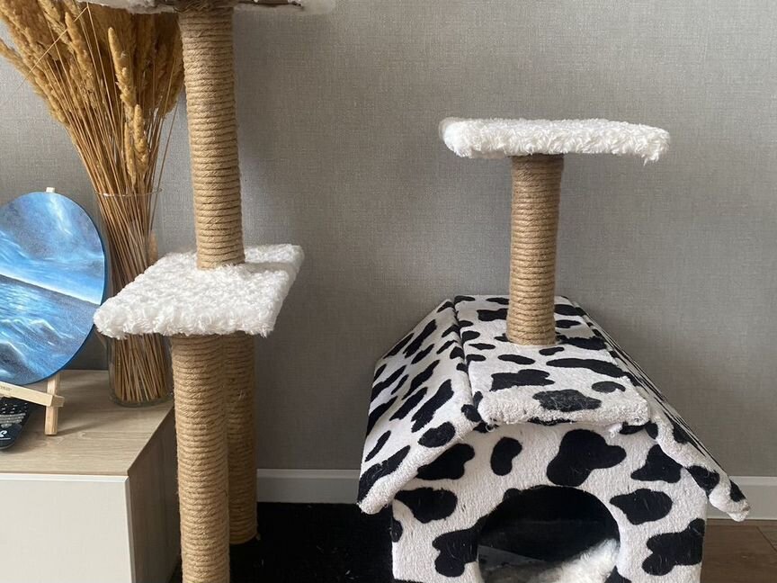 Кошачий дом