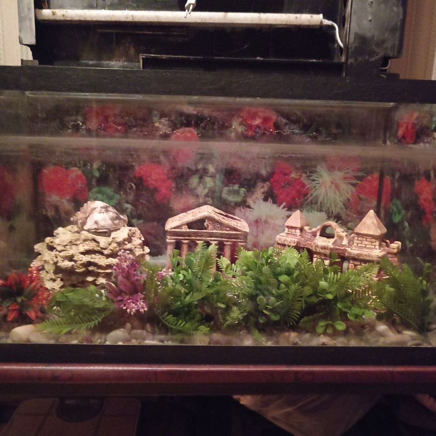 Аквариум бу 50 литров