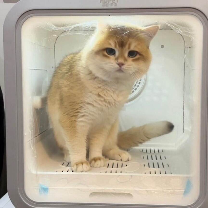 Сушилка для животных