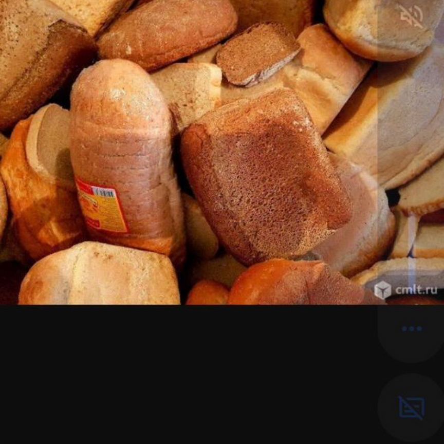 Корма для животных