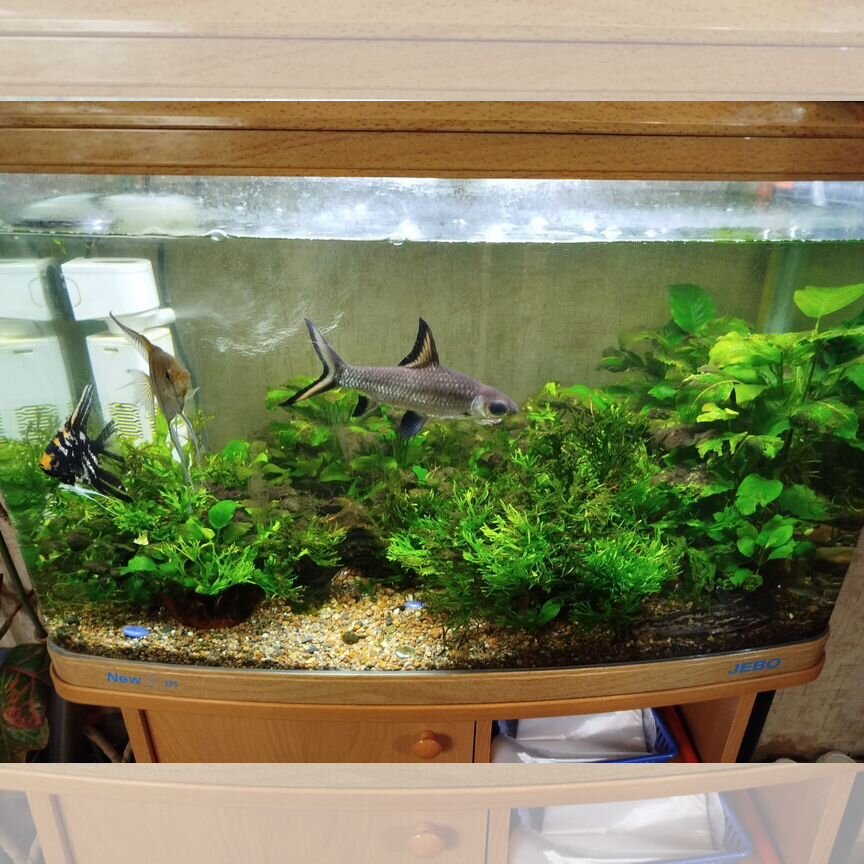 Аквариум с тумбой jebo 140 литров