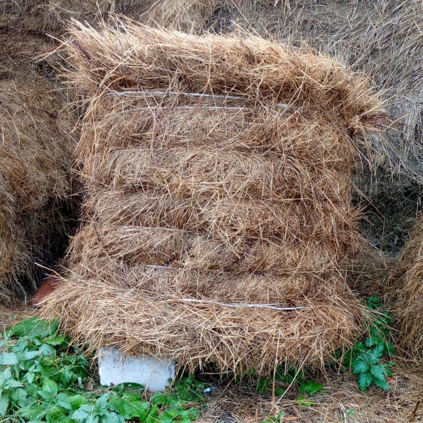 Сено в рулонах