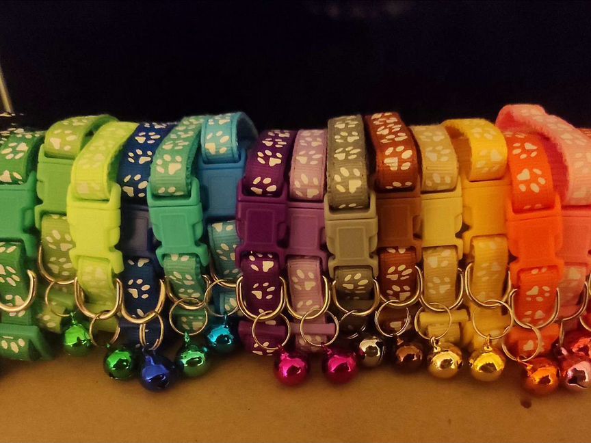 Индификационный ошейник для щенков и котят