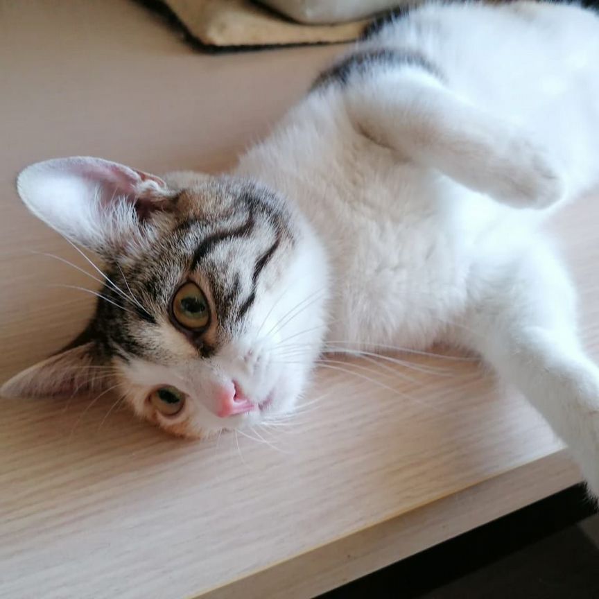 Малышка 7 мес