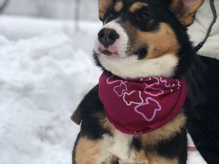 Невероятно симпатичная девочка из приюта ищет дом