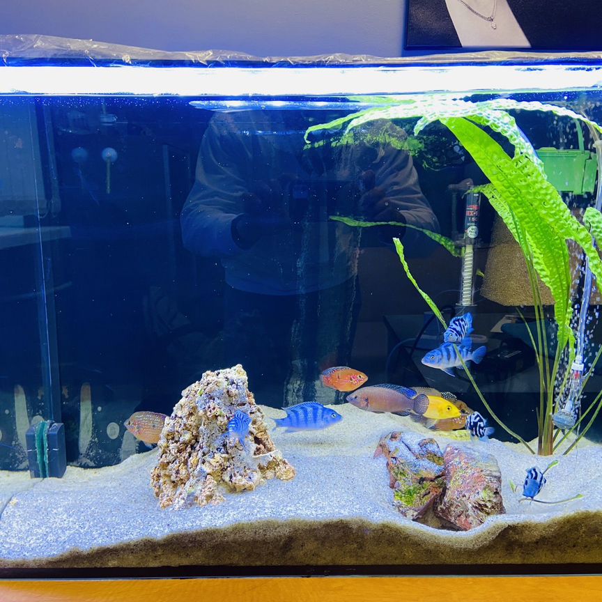 Аквариум 100 литров