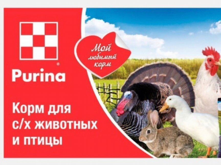Комбикорм Пурина (purina) оптом и в розницу