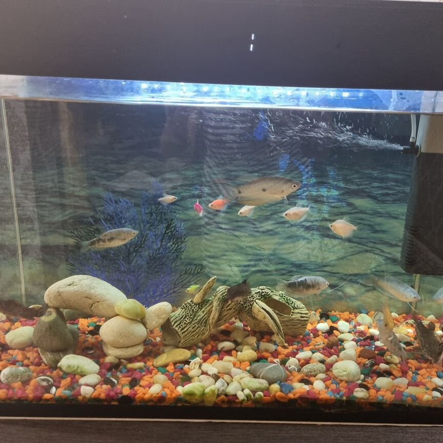 Продам аквариум 110 л.с рыбами