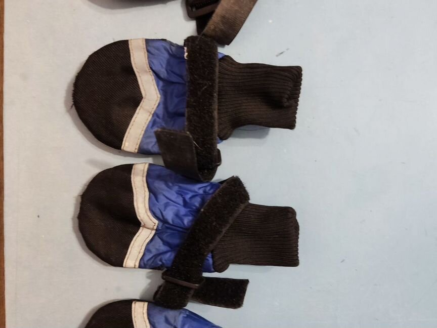 Обувь для собак