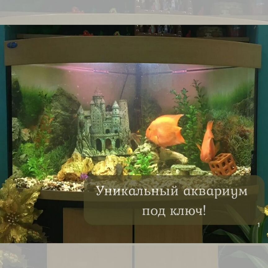 Аквариум на заказ - под ключ