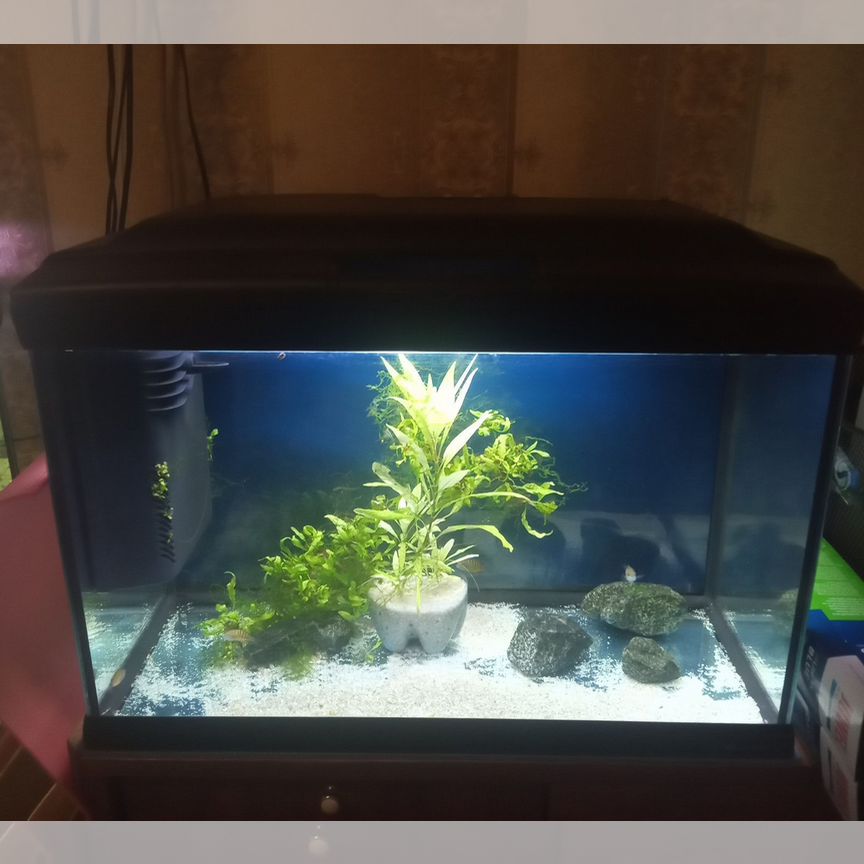 Аквариум Ferplast Cayman 60 Professional 75 л