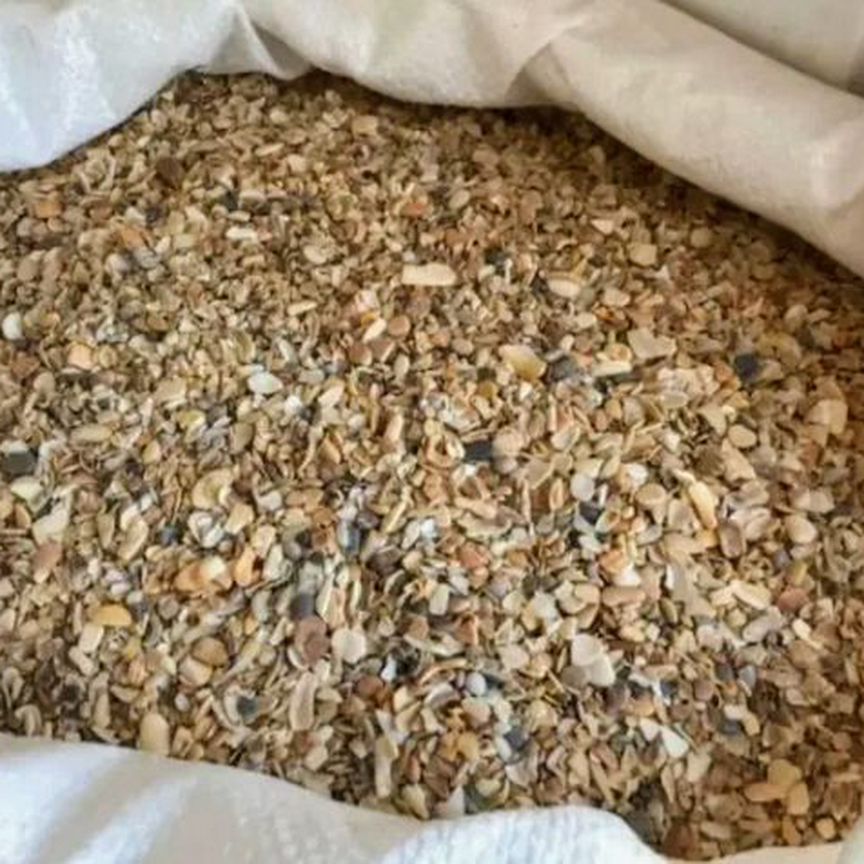 Ракушка морская кормовая