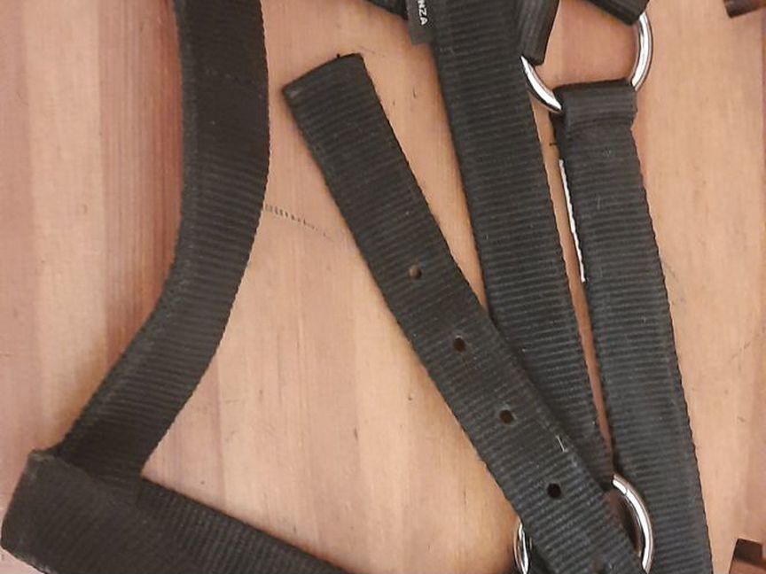 Недоуздок для лошади б/у Fouganza