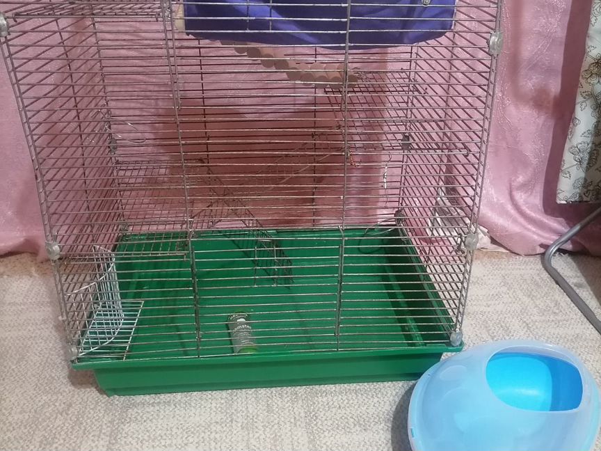 Клетка для шиншилл, дегу, крыс хомяков