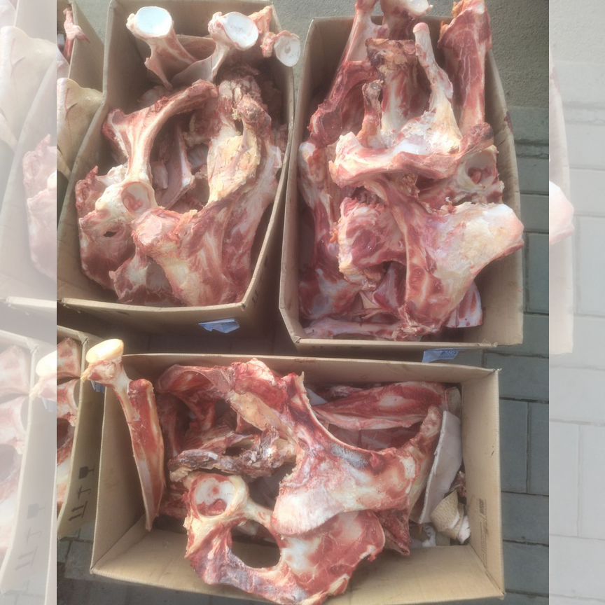 Кости говяжьи для собак