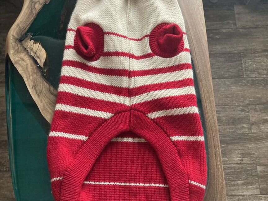 Одежда для собаки кота