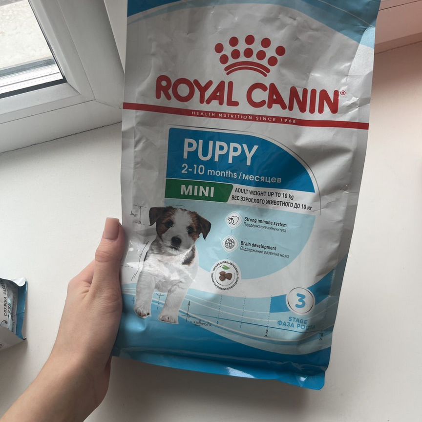 Корм для собак royal canin mini