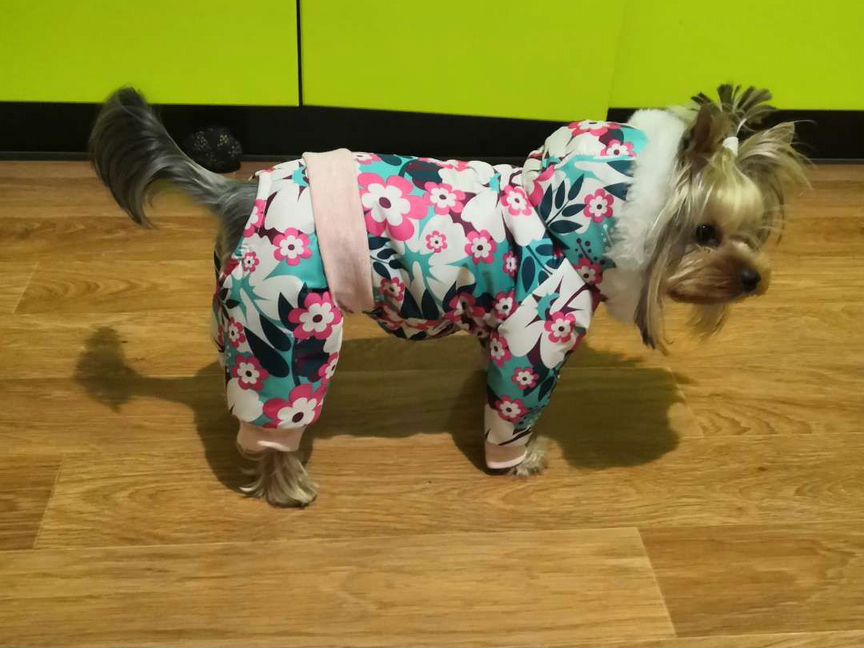 Комбинезон для собаки