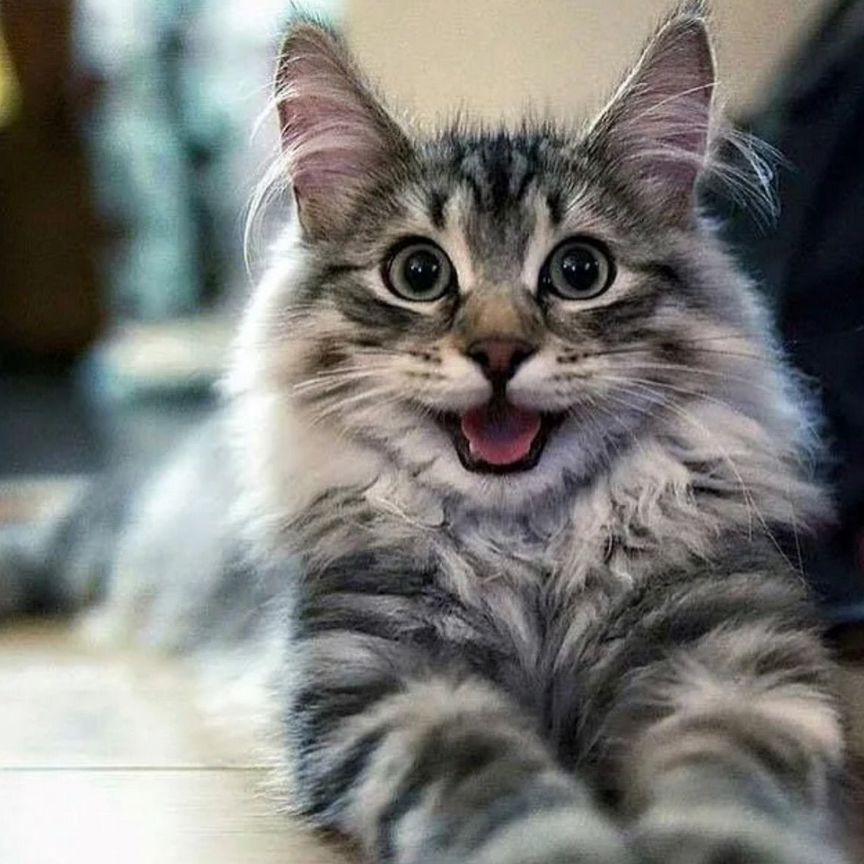 Радость от скидок