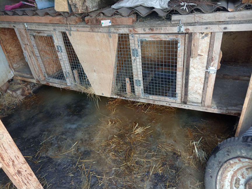 Клетка для кролика