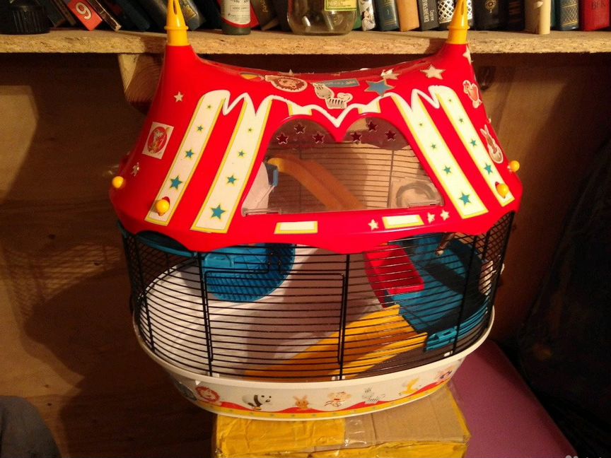 Клетка для грызунов хомяков мышей крысят