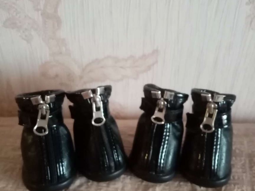 Ботинки для собак