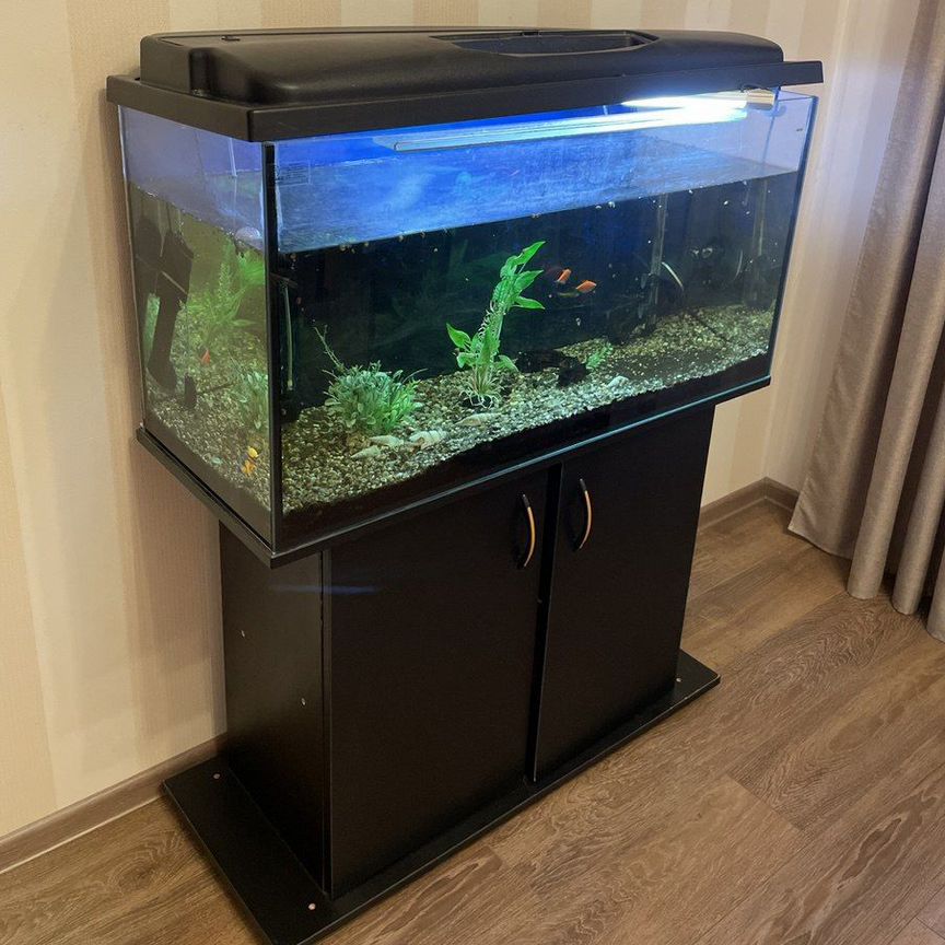 Аквариум с тумбой 200 литров