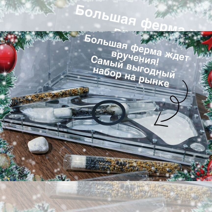 Муравьиная ферма для ребенка