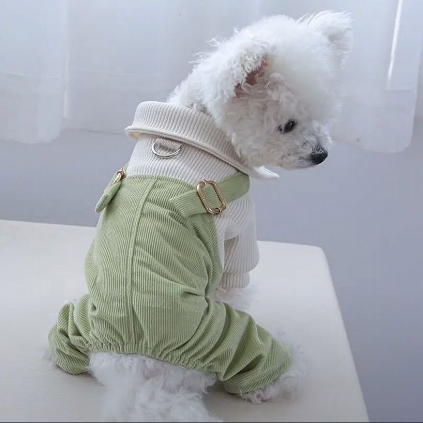 Костюм для собак