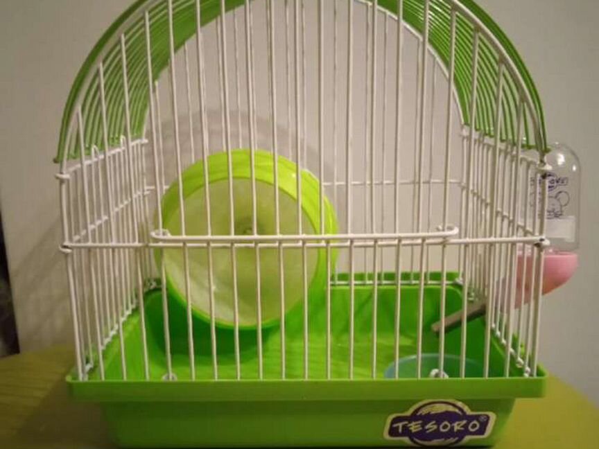 Переноски для хомячков(хомячки, клетки,корм)