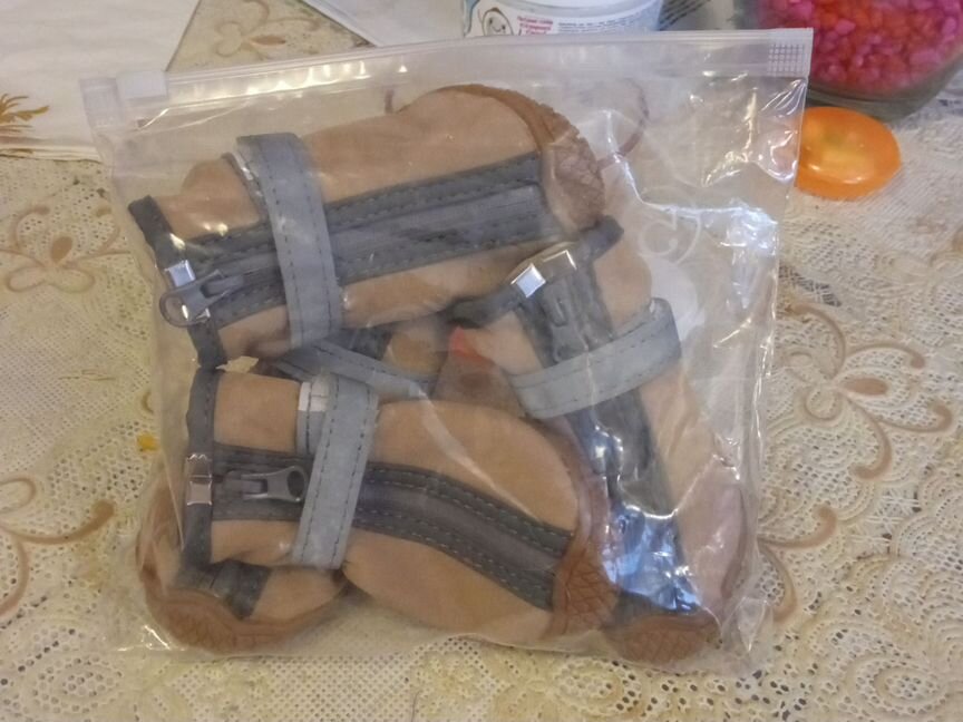 Обувь зимняя для собак