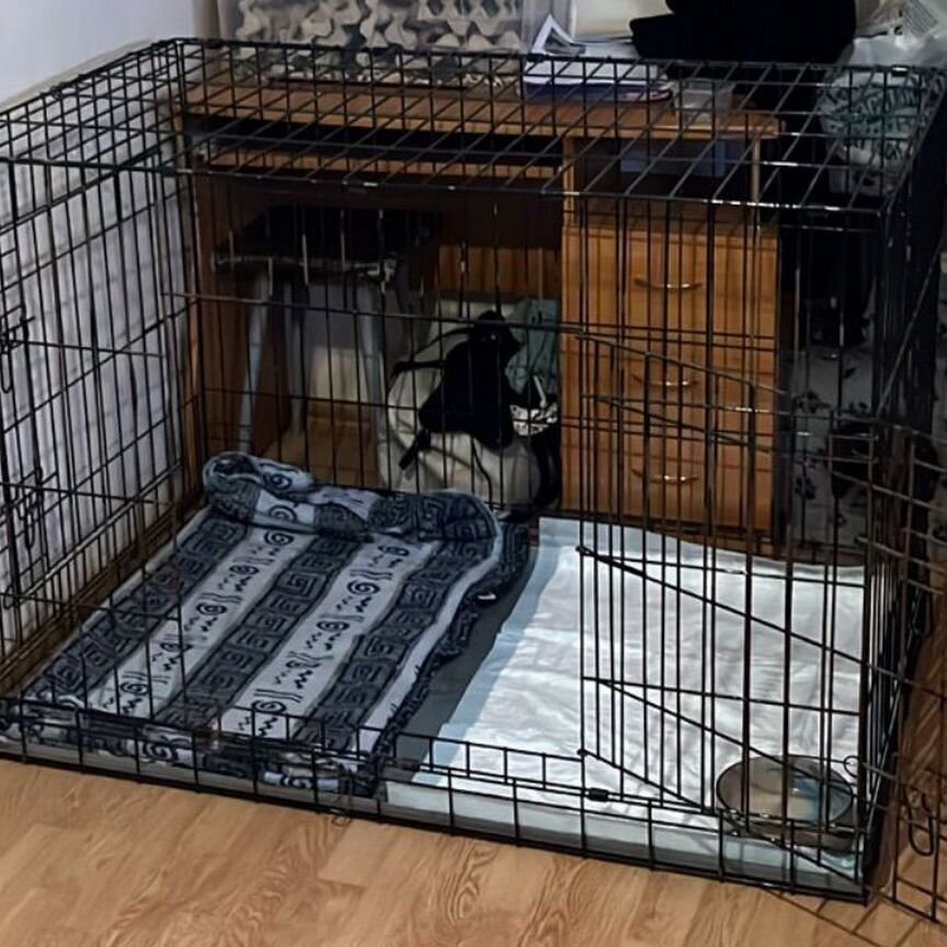 Вольер для собак 6