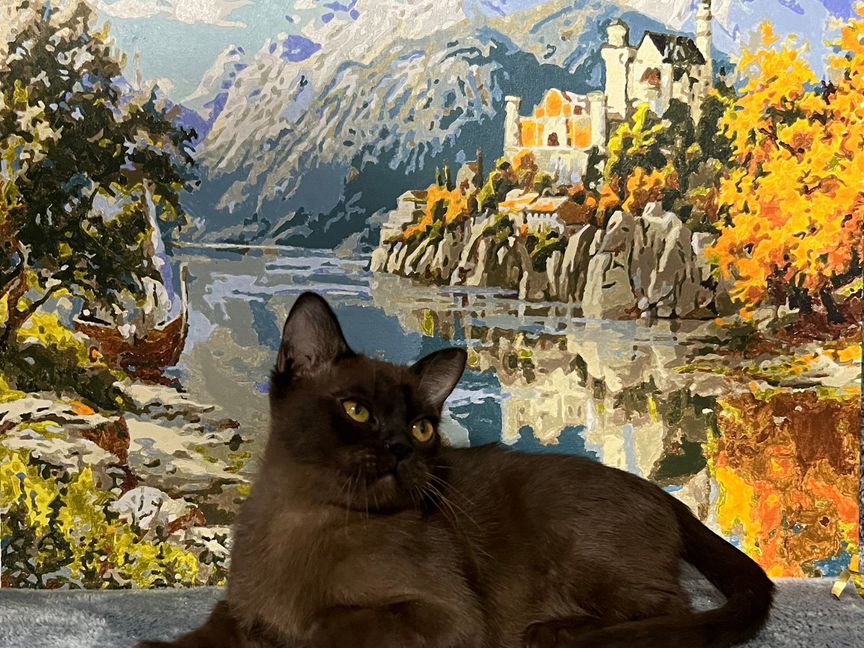 Бурманские