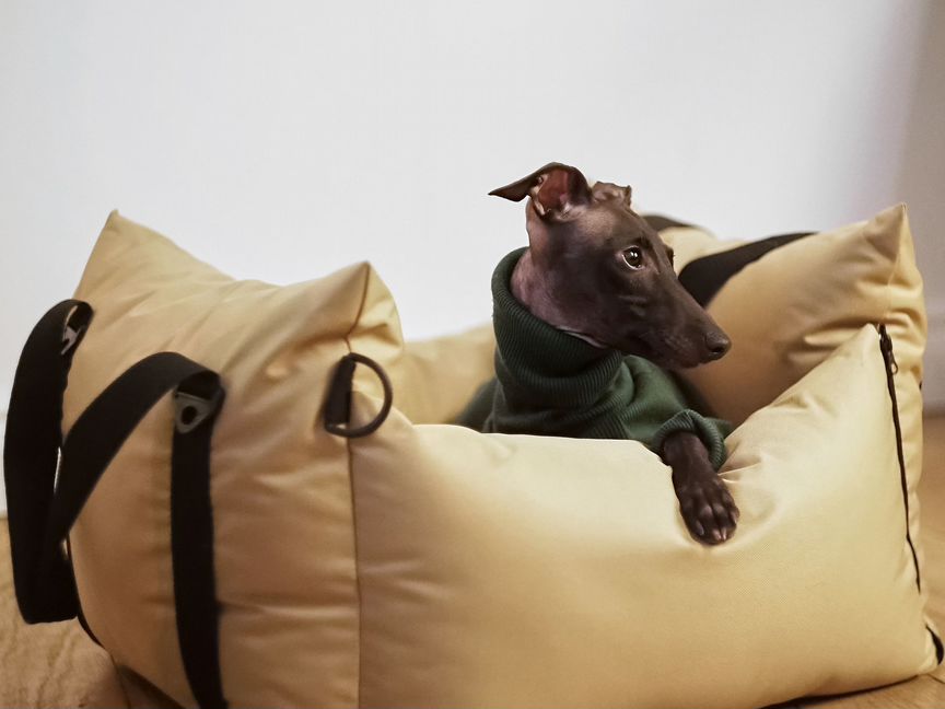 Автокресло для собак