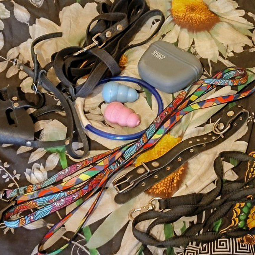 Товары для собак