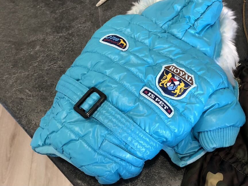 Костюм на маленькую собачку