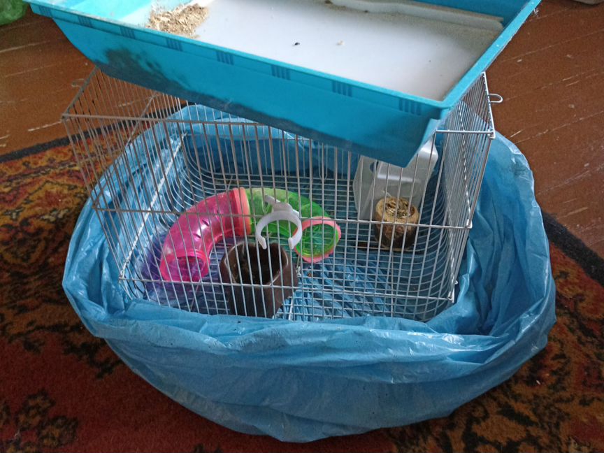 Клетка для хомяка бесплатно