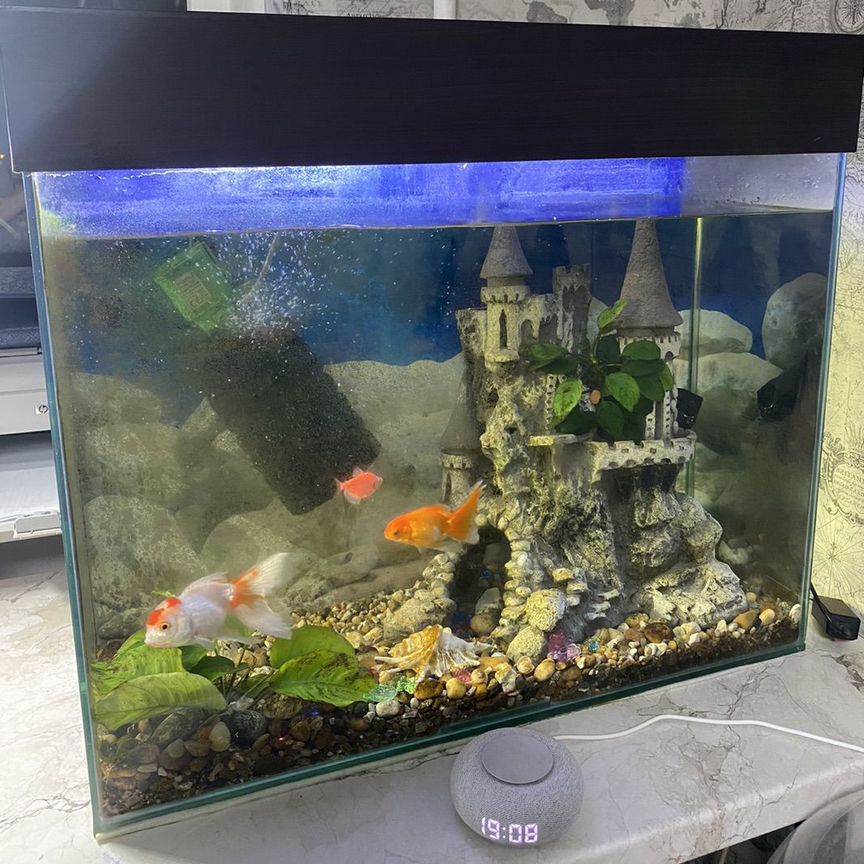 Аквариум на 100 литров
