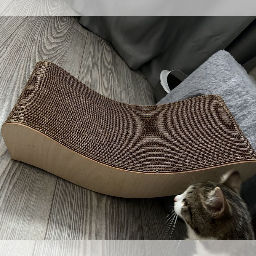 Когтеточка для кошек