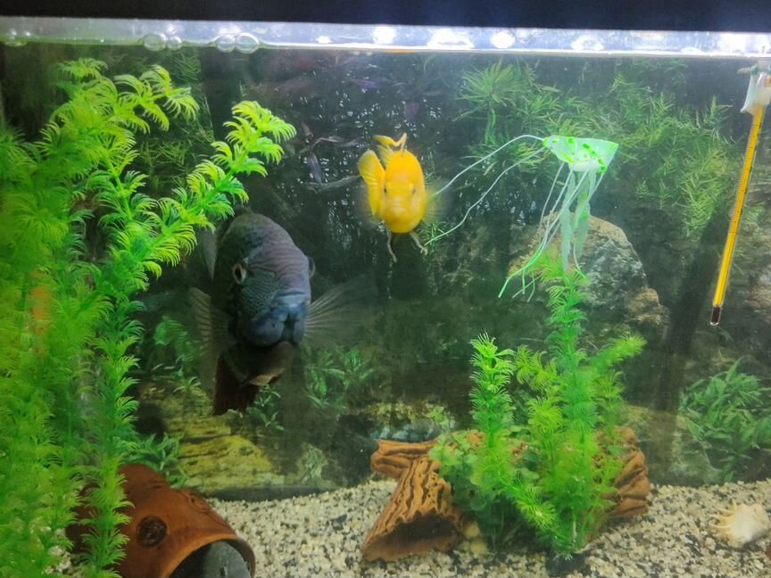 Украшение для аквариума