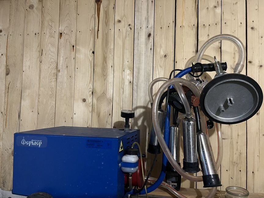 Доильный аппарат для коров