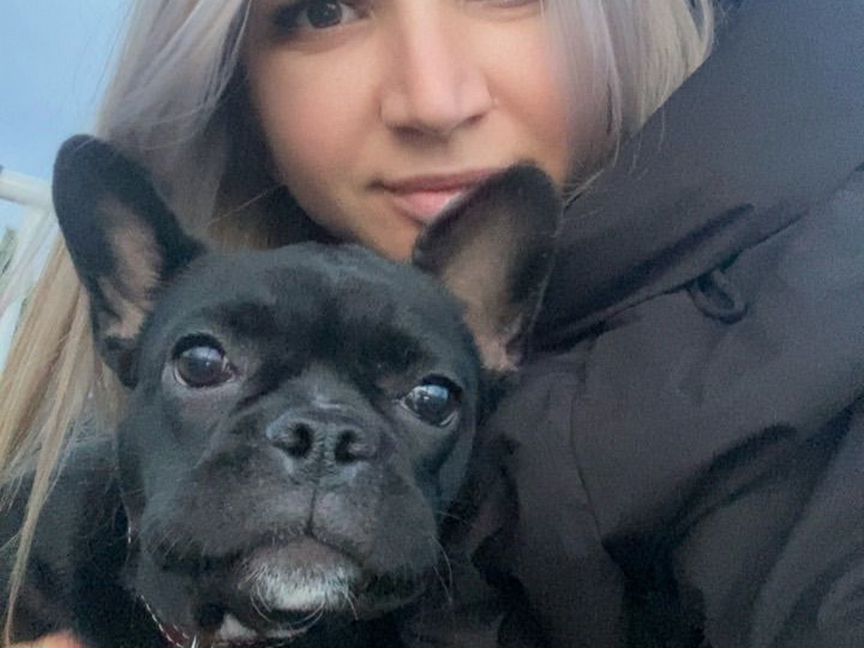 Французский бульдог