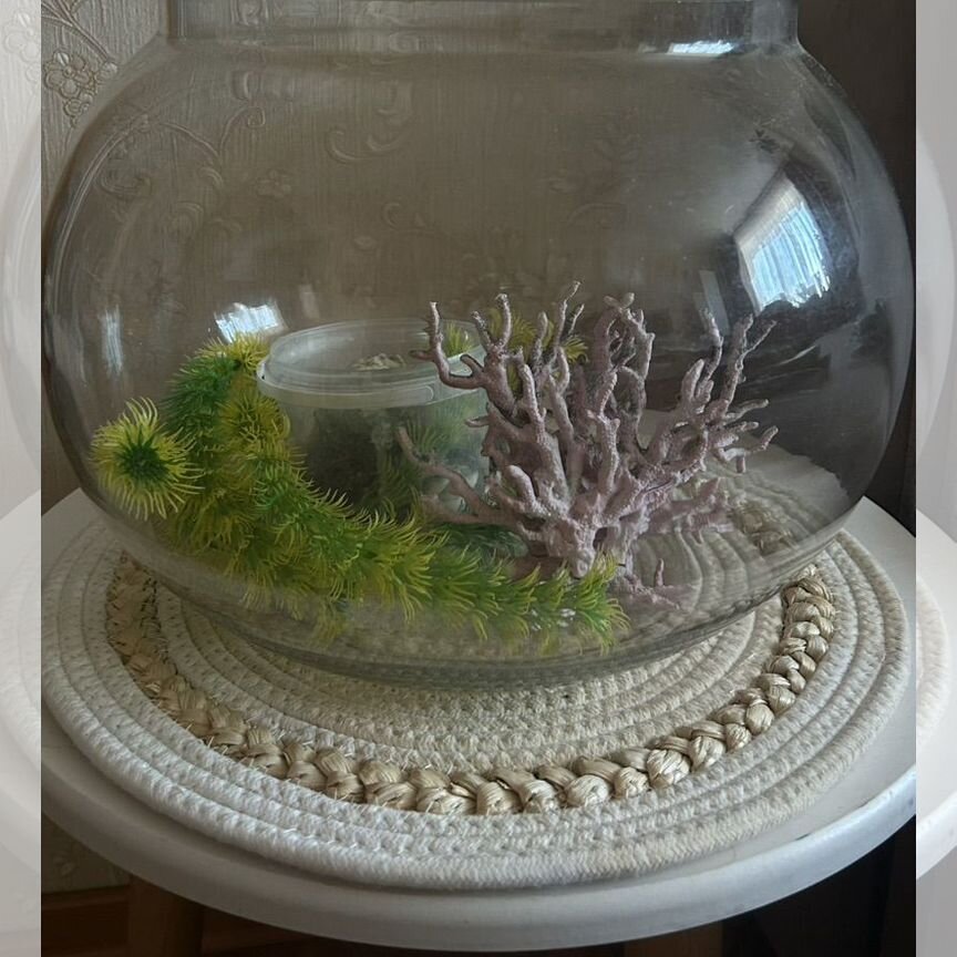 Аквариум для рыбок круглый