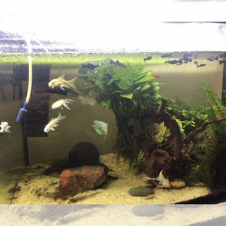 Аквариум 180 литров