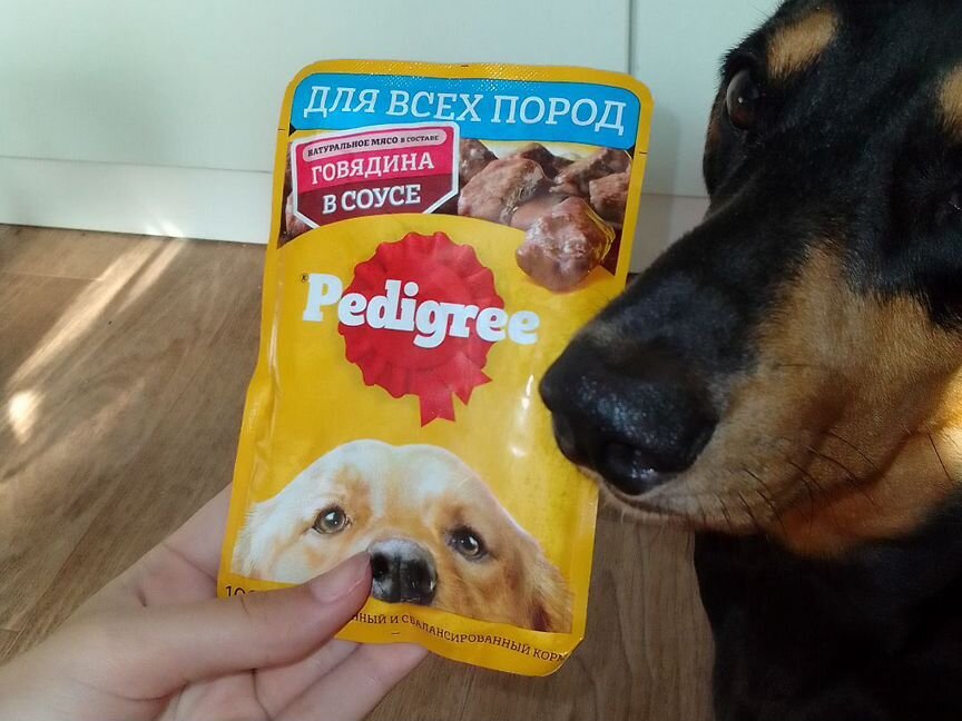 Мокрый корм для собак