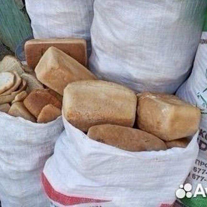 Корма для животных