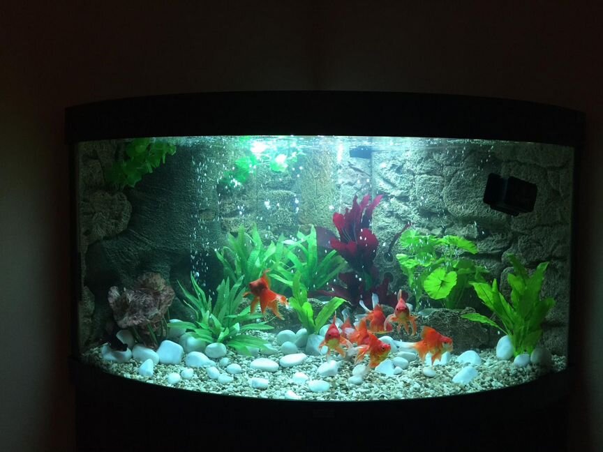 Аквариум с тумбой 300 литров