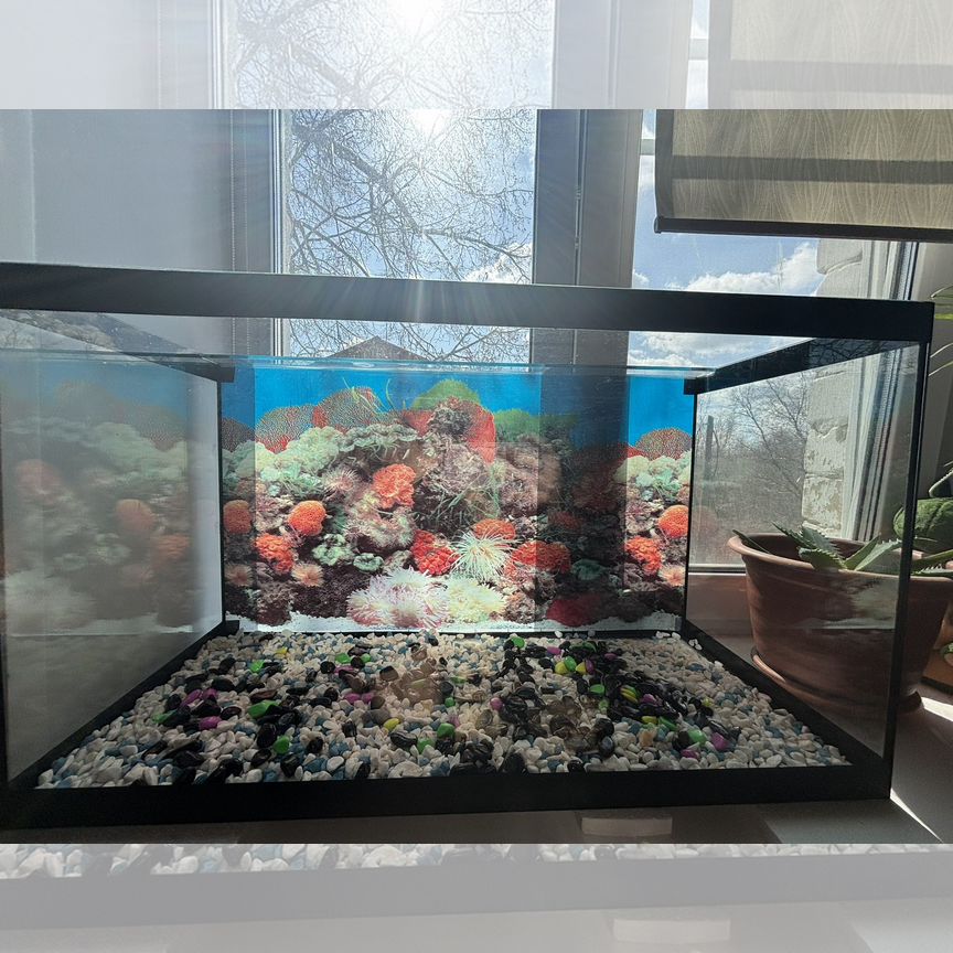 Аквариум с камушками 80 литров