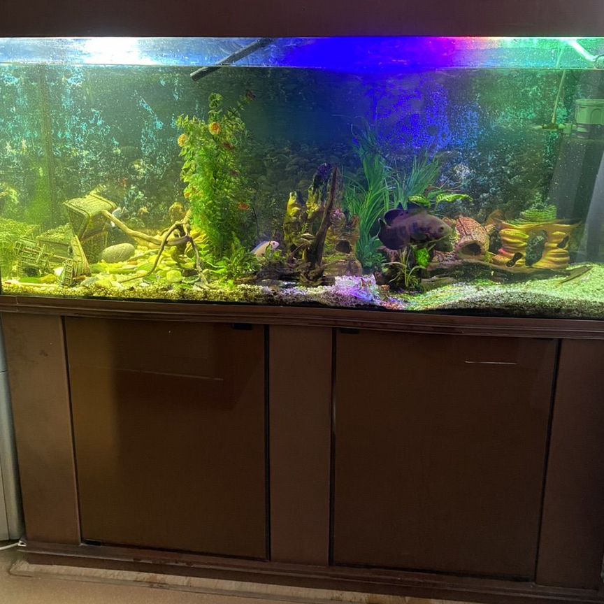 Аквариум с тумбой