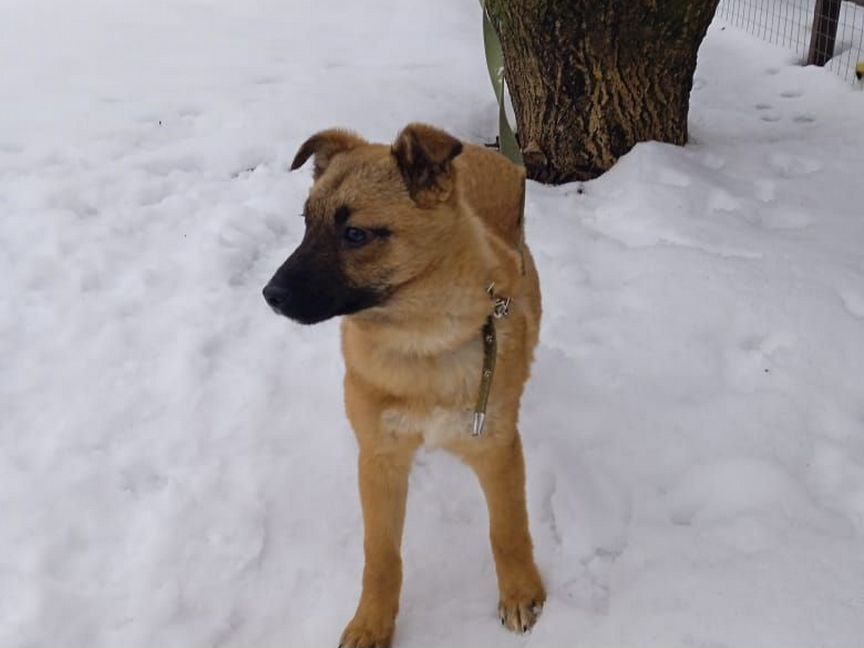 Деваха 3 мес